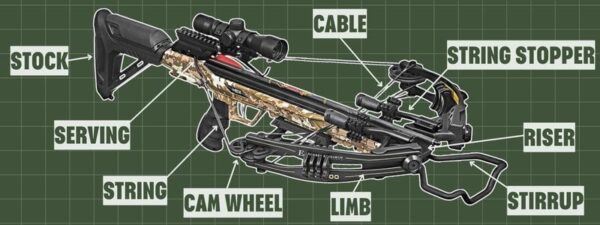 Understanding The Parts Of A Compound Crossbow A Complete Guide